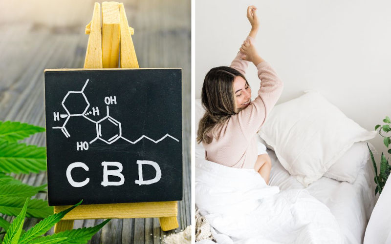 Ehrenpreis: Wirkung, Anwendung & Erfahrungen